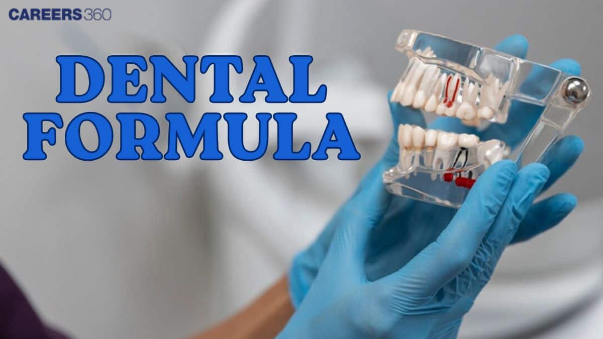 Dental Formula- Dentition, Differences and Types