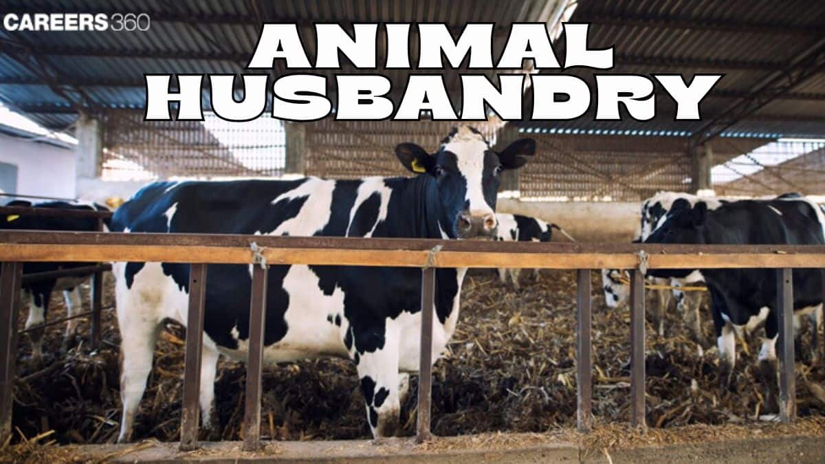 Animal Husbandry- Definition, Types, Examples, Role, Challenges