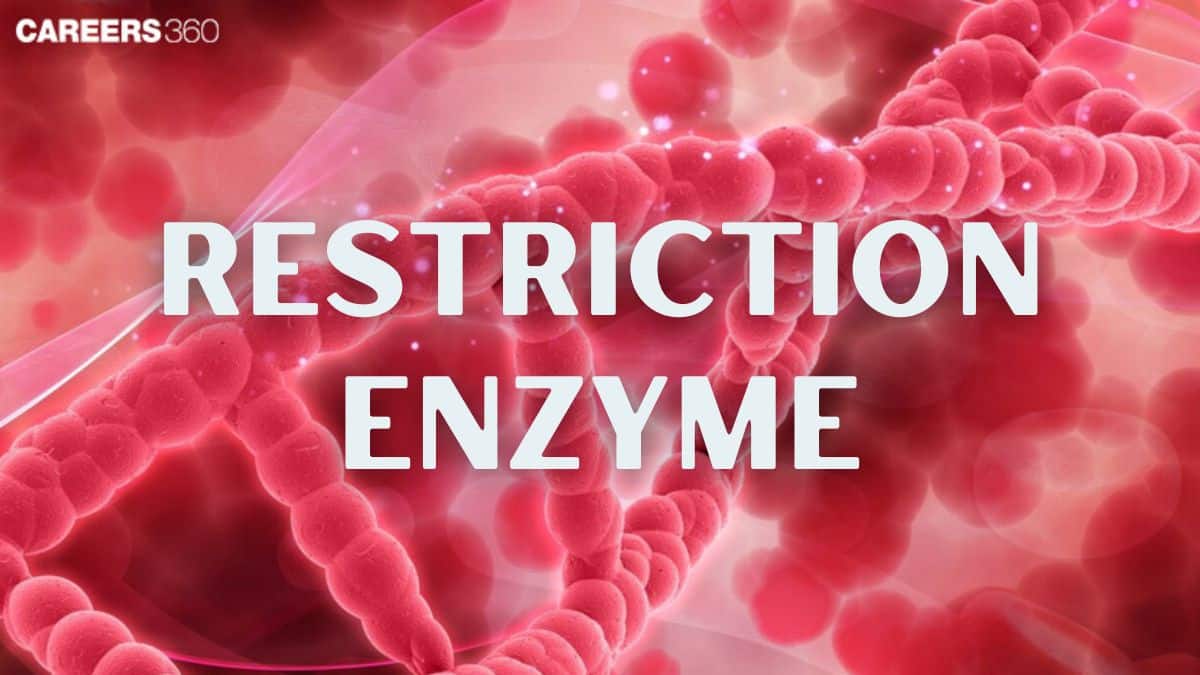 Restriction Enzyme: Definition, Types, Applications, Examples, Diagram