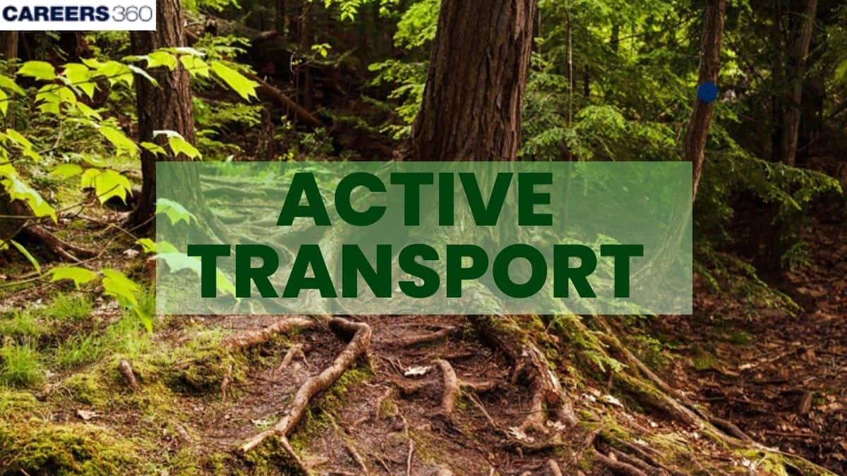 Active Transport -Overview, Topics, Definition, Types & Examples