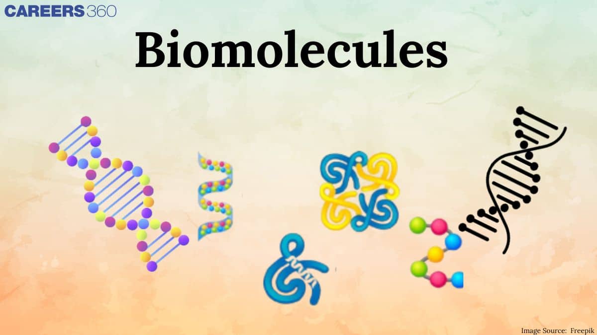 Biomolecules - Types, Structure and Function