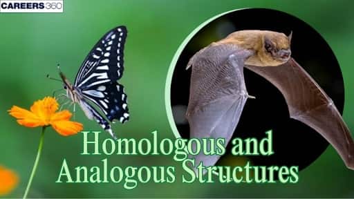 Difference Between Homologous and Analogous Structures