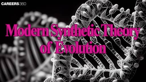 Modern Synthetic Theory Evolution: An Overview