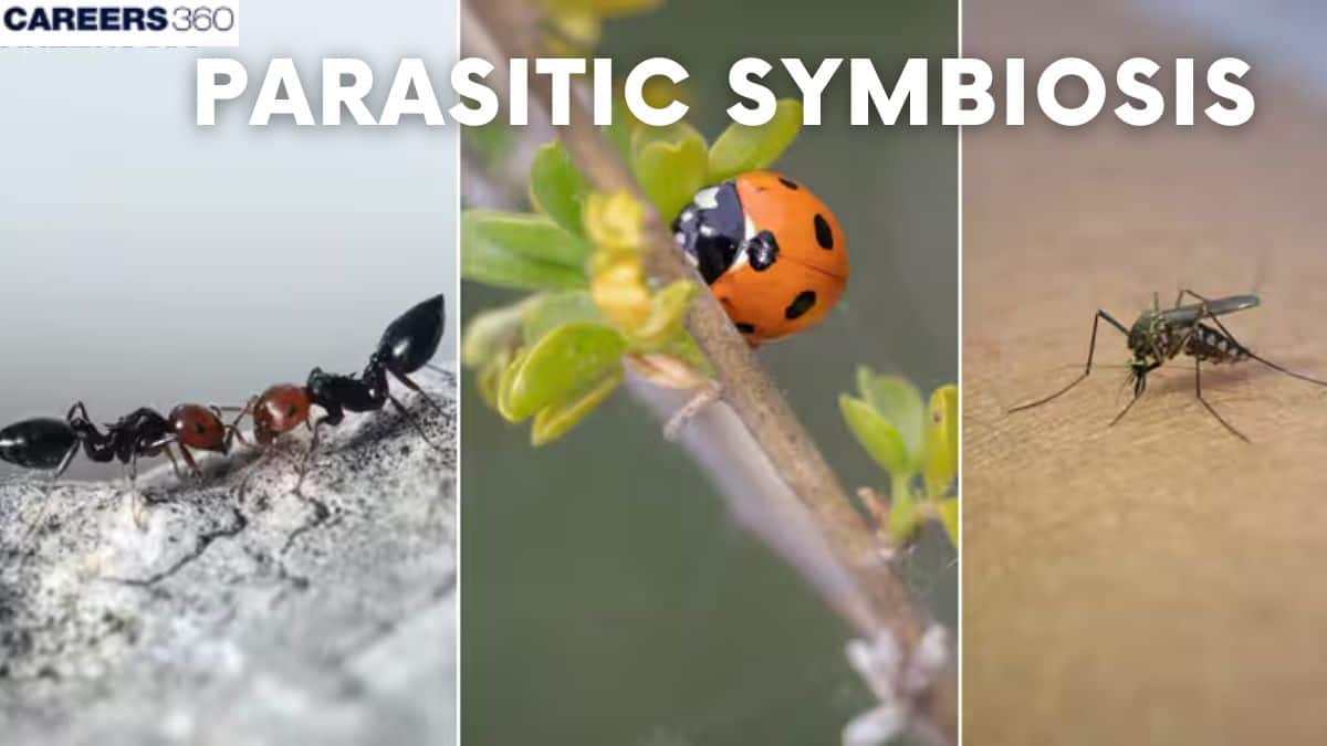 Parasitic Symbiosis