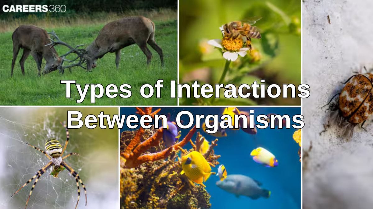 What Are The Types Of Interactions Between Organisms?