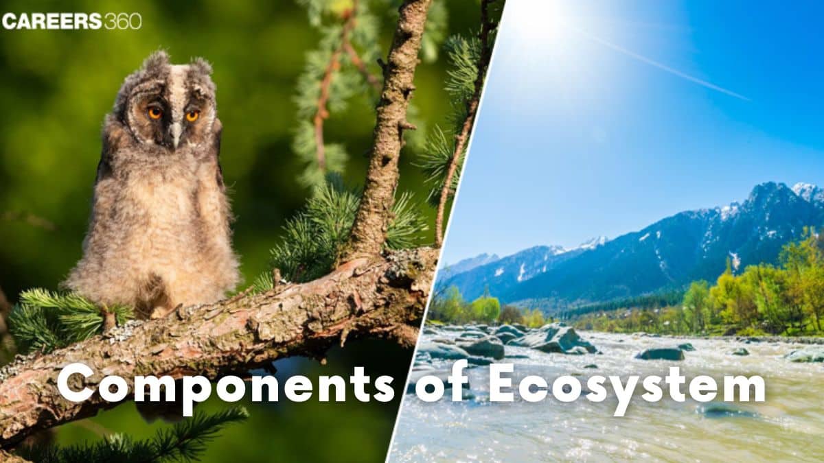 Components of Ecosystem: Biotic & Abiotic Factors, Energy Flow & MCQs ...