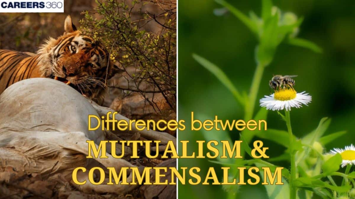 Difference between Mutualism and Commensalism - Types & Facts