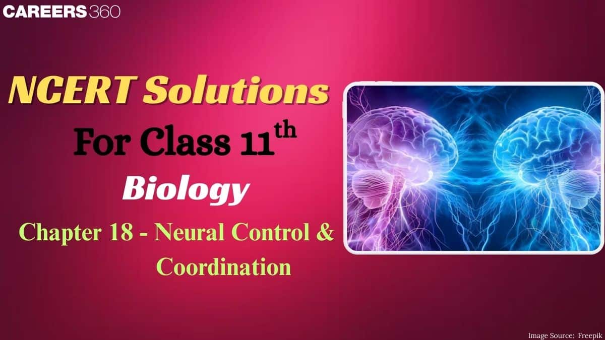 NCERT Solutions for Class 11 Biology Chapter 18 - Neural Control and ...