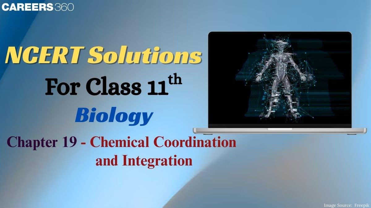 NCERT Solutions for Class 11 Biology Chapter 19 Chemical Coordination ...
