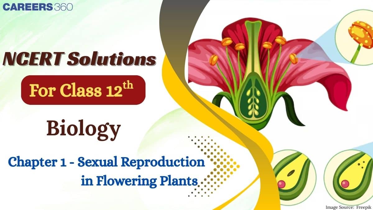 NCERT Solutions for Class 12 Biology Chapter 1 Sexual Reproduction in ...