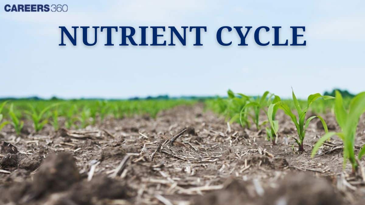 Nutrient Cycle: Definition, Examples, Importance, Types, FAQs