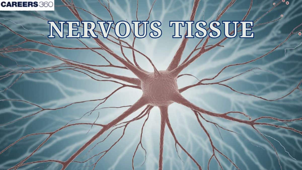 Nervous Tissue