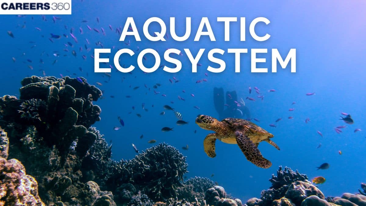 Aquatic Ecosystem - Types, Function & Defination