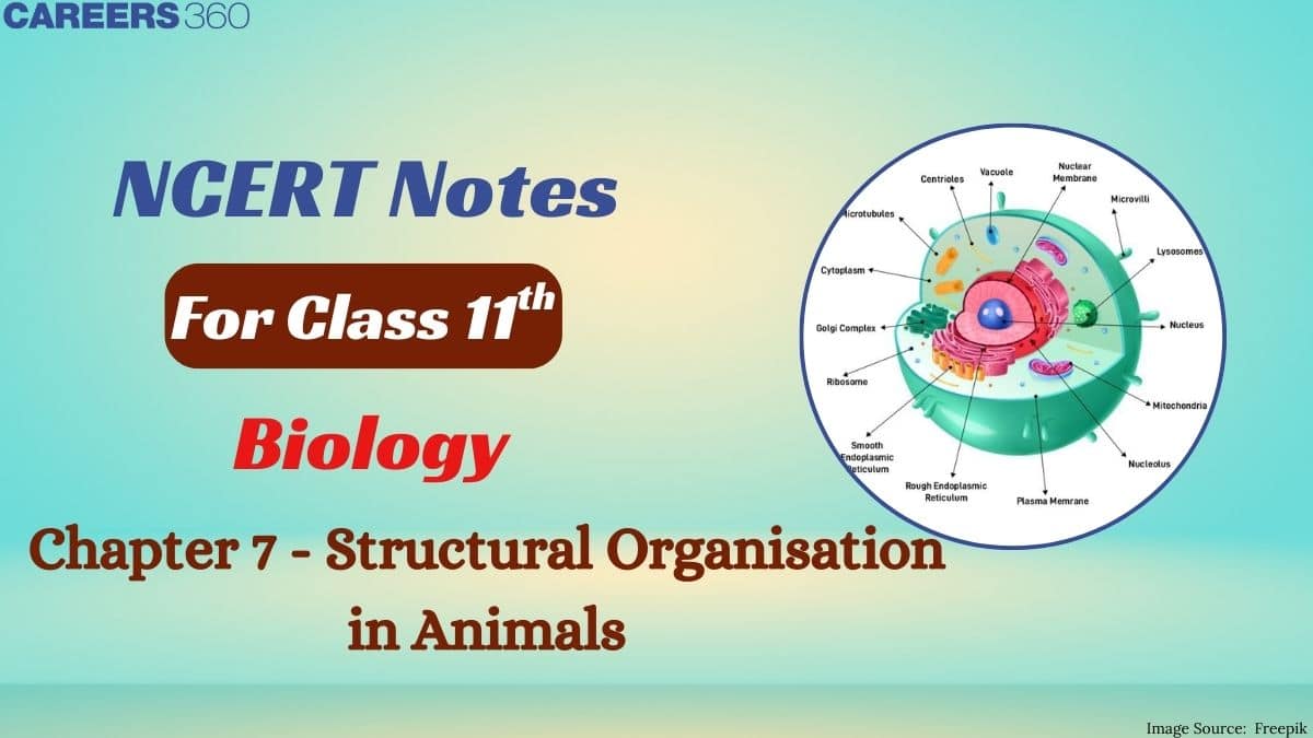 NCERT Class 11 Biology Chapter 7 Notes Structural Organisation In ...