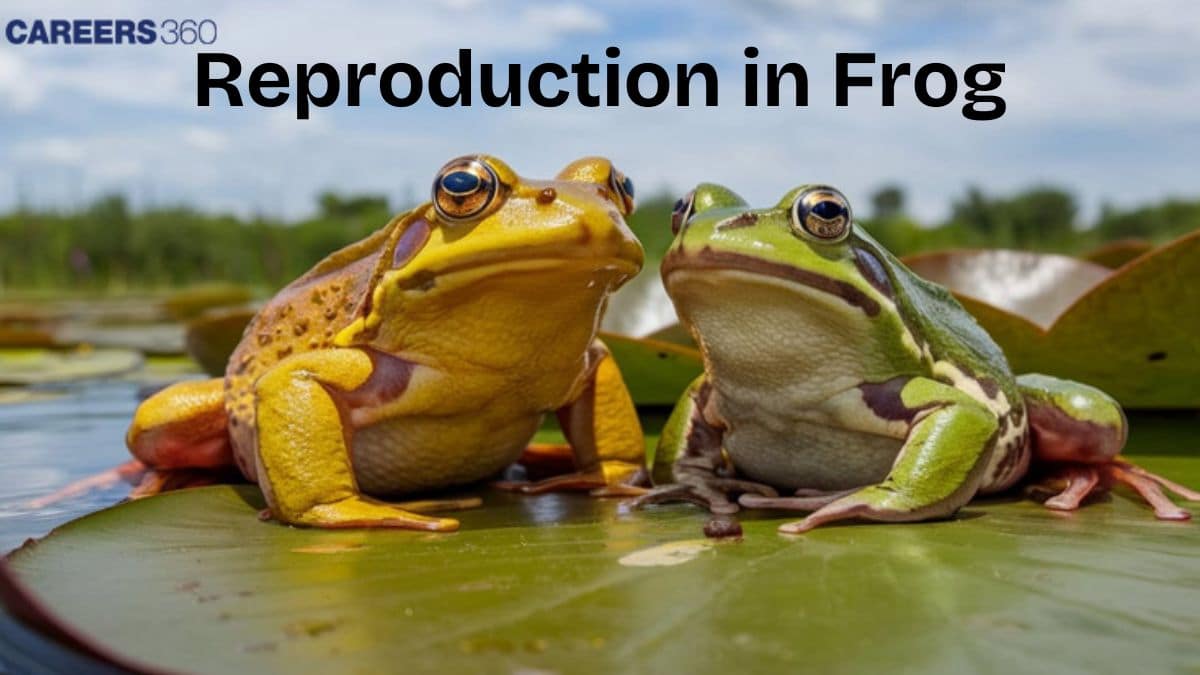 Reproduction in Frogs