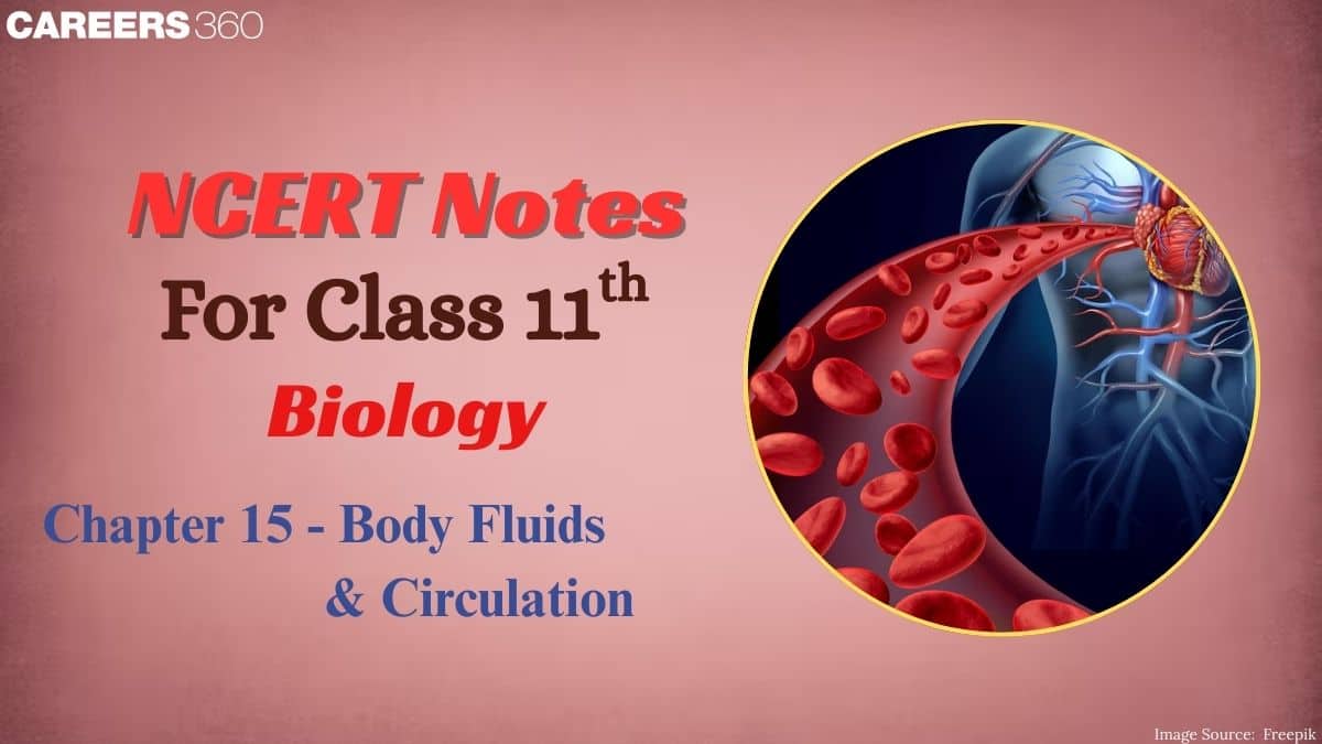 NCERT Class 11 Biology Chapter 15 Notes Body Fluids And Circulation ...