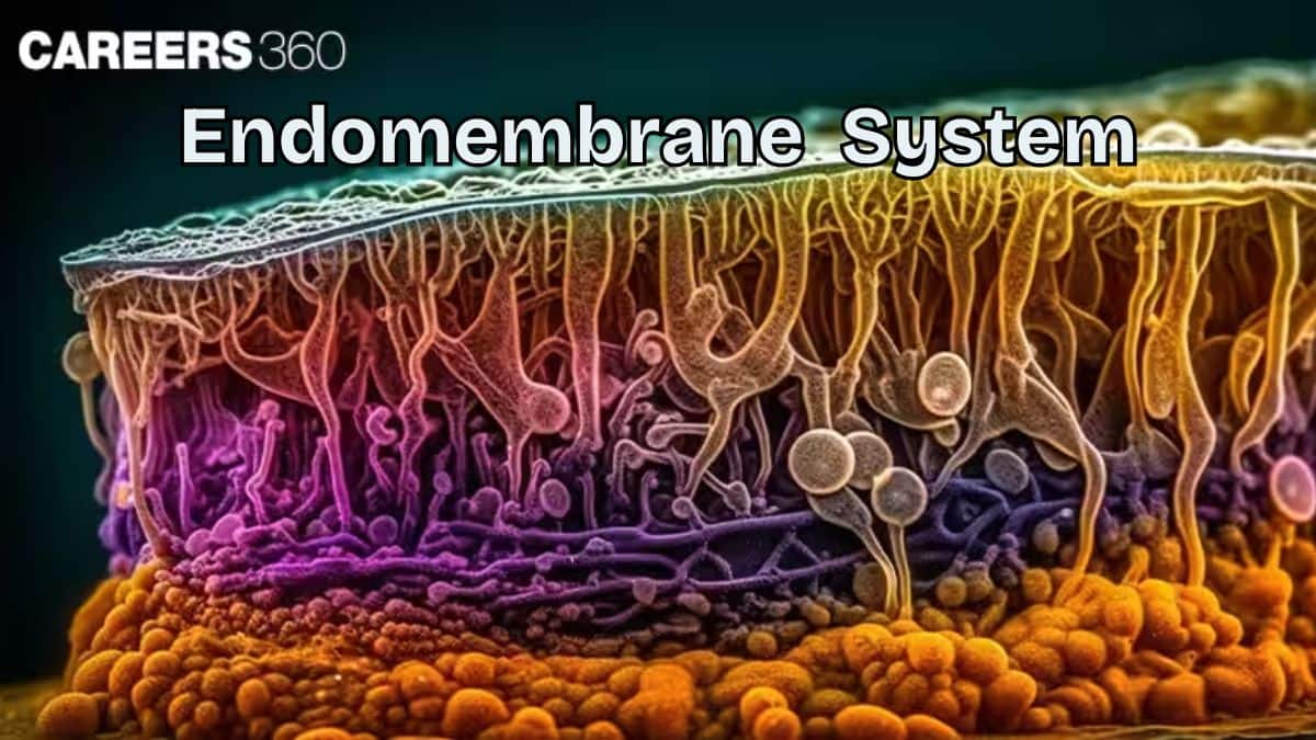 Endomembrane System