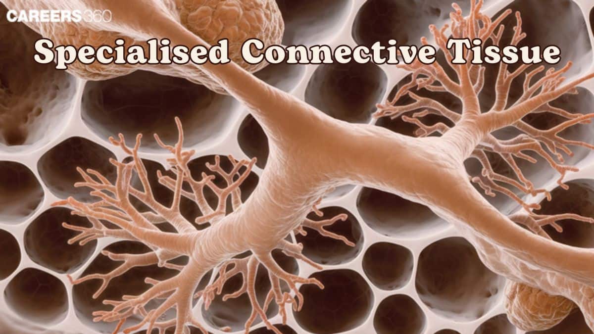 Specialised Connective Tissue