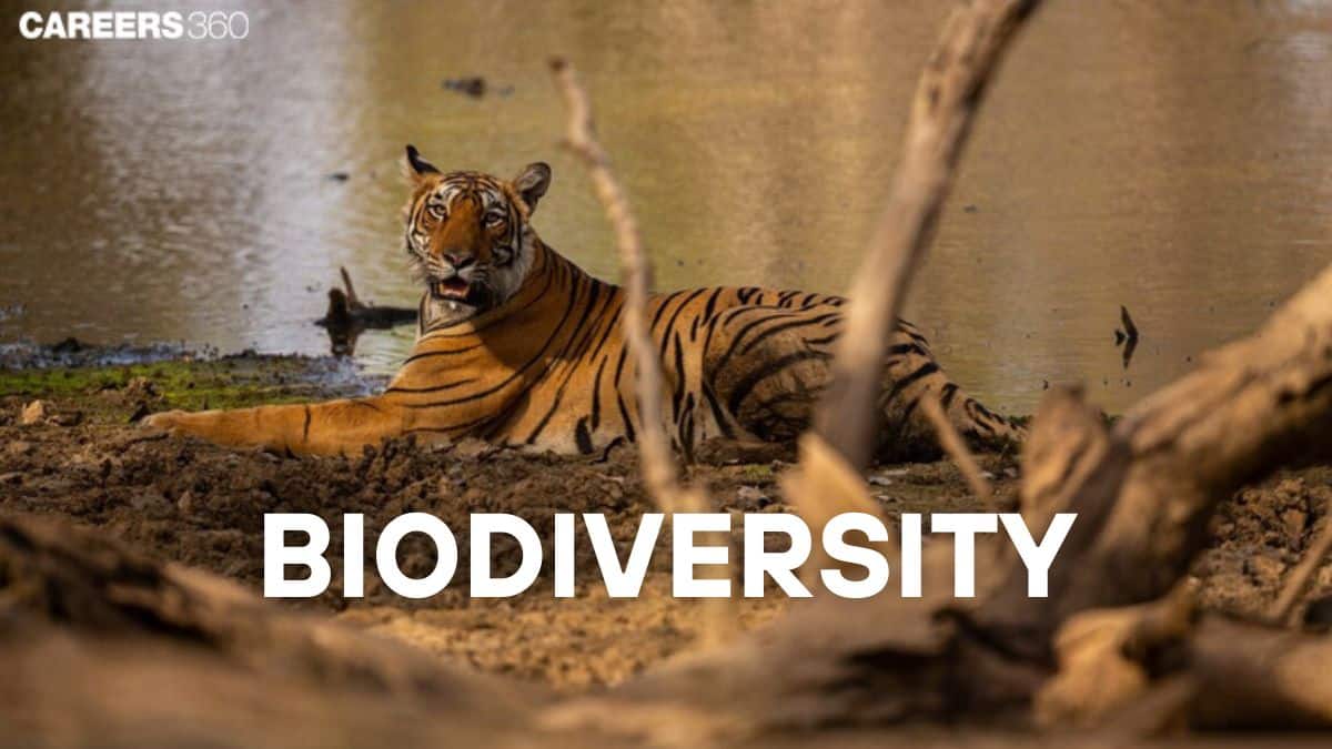 Biodiversity: Definition, Types, Importance, Facts