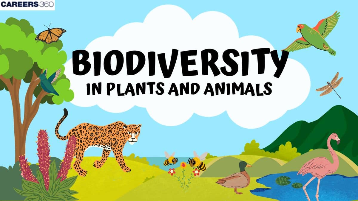 Biodiversity in Plants and Animals: Definition, Examples, Importance ...