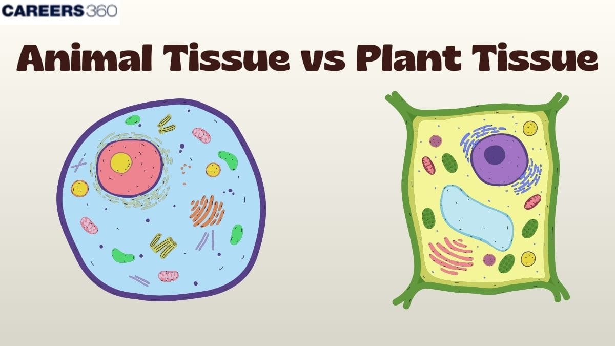Animal Tissues vs Plant Tissues - Comparison & Summery