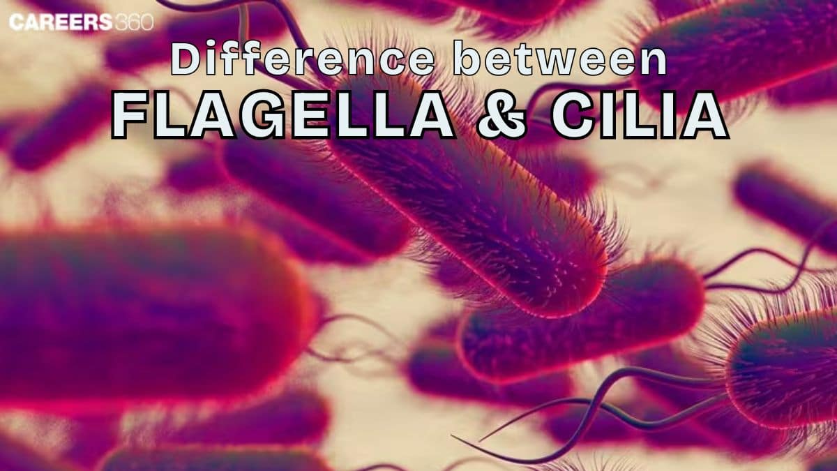 Difference Between Cilia and Flagella