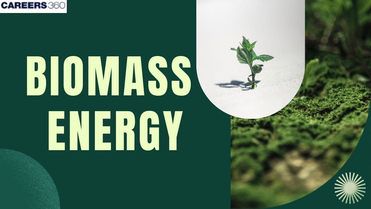 Biomass Definition Energy Source - Definition ,Introduction, Types ...