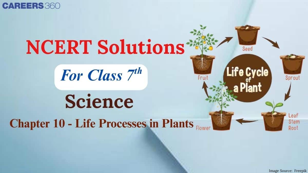 NCERT Solutions for Class 7 Science Chapter 10 - Life Processes in Plants