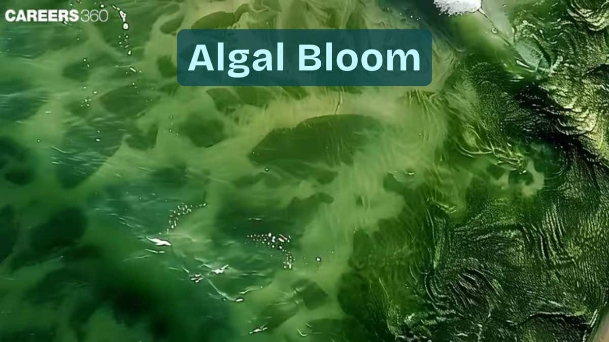 Algal Bloom: Definition, Causes, Types & NEET Notes
