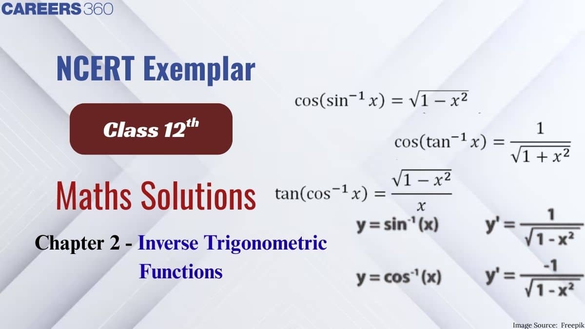 NCERT Exemplar Class 12 Maths Solutions Chapter 2 Inverse Trigonometric ...