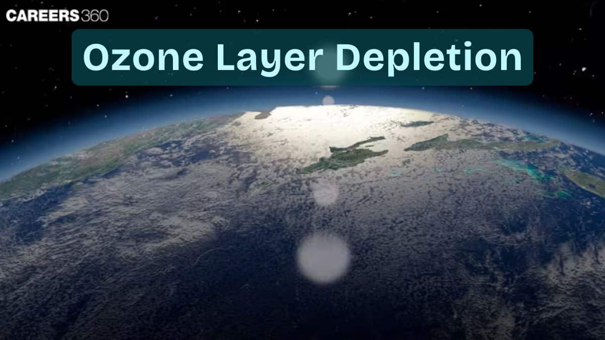 Ozone Layer Depletion: Causes, Effects & NEET Notes