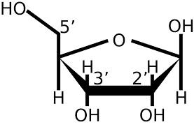 structure of glucose and fructose - Overview, Structure, Properties & Uses