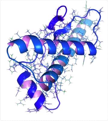 acellular meaning - Overview, Structure, Properties & Uses