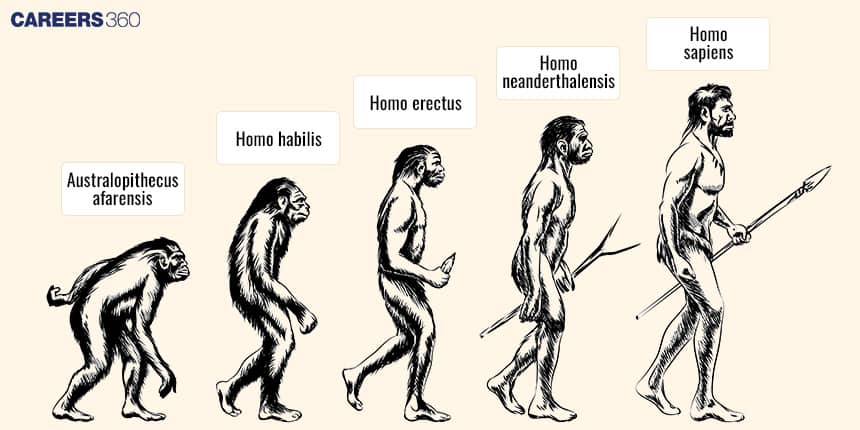 Evolution by Stages: Definition and Examples