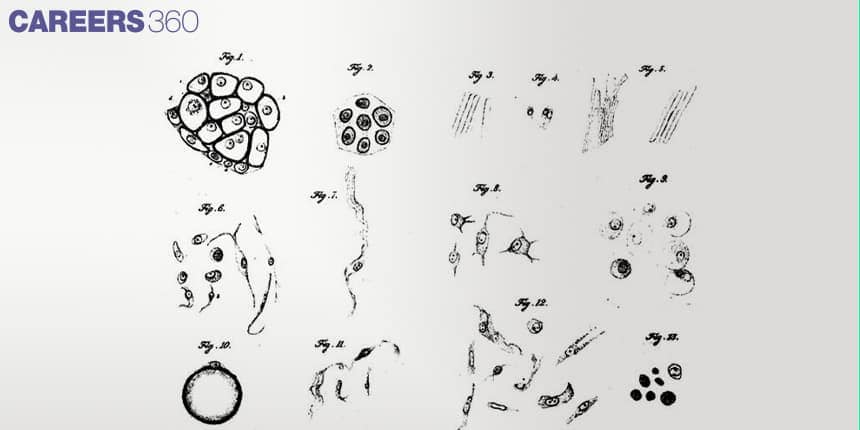Discovery of Cells- Landmarks in Discovery of Cells