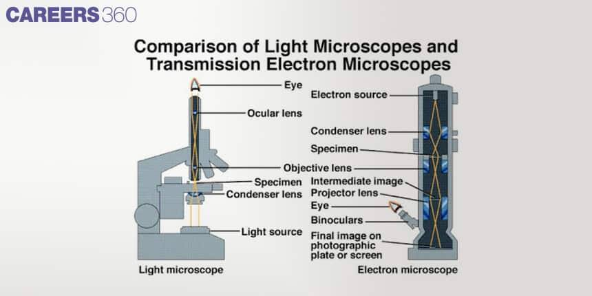 Discovery of Cells- Landmarks in Discovery of Cells