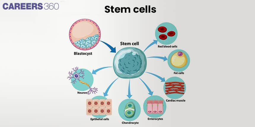 Discovery of Cells- Landmarks in Discovery of Cells