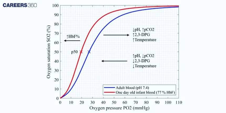 Oxygen Dissociation Curve: Definition, Function And Examples