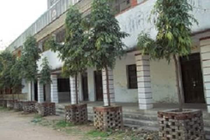 Top B.Ed Degree Colleges in Noida 2022 – Courses, Fees, Admission, Rank