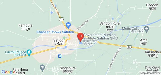 Sarla Memorial Government Girls College, Safidon: Admission, Fees ...