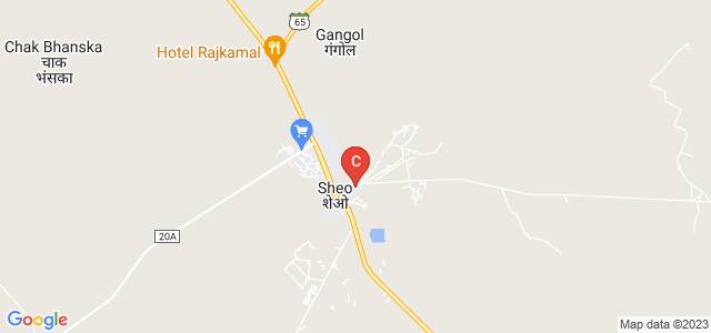 Government College, Sheo, Barmer: Admission, Fees, Courses, Placements ...