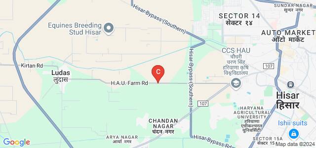 CCSHAU Hisar: Courses, Admission 2025, Cutoff, Fees, Placements, Ranking