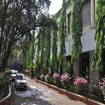Nowrosjee Wadia College, Pune: Admission, Fees, Courses, Placements ...