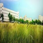 CBIT Hyderabad: Admission, Fees, Courses, Placements, Cutoff, Ranking