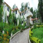 Central University of Jharkhand (CUJ) Ranchi: Admission, Fees, Courses ...