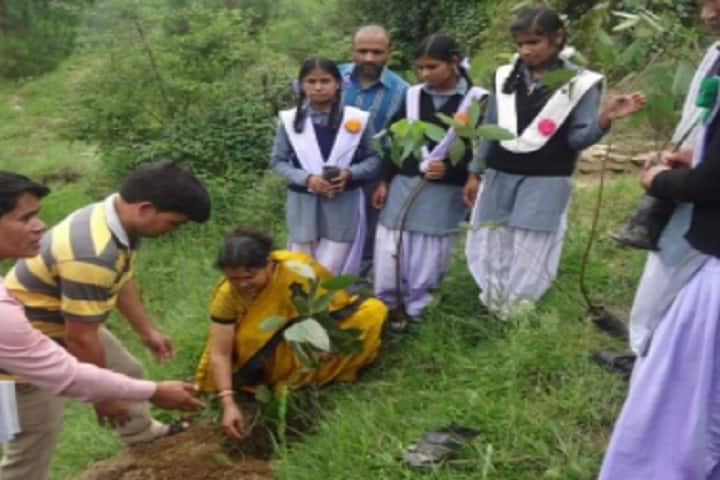 Veer Chandra Singh Garhwali Uttarakhand University of Horticulture and ...