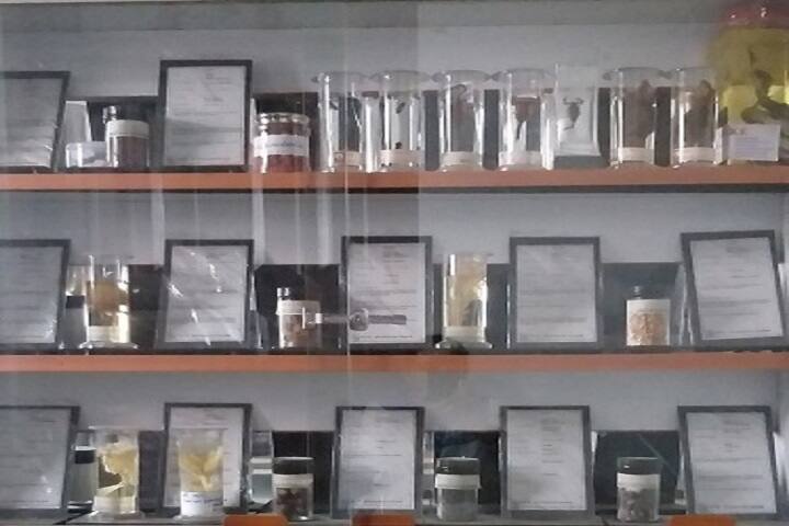 State Ayurvedic College and Hospital, Lucknow: Admission, Fees, Courses ...