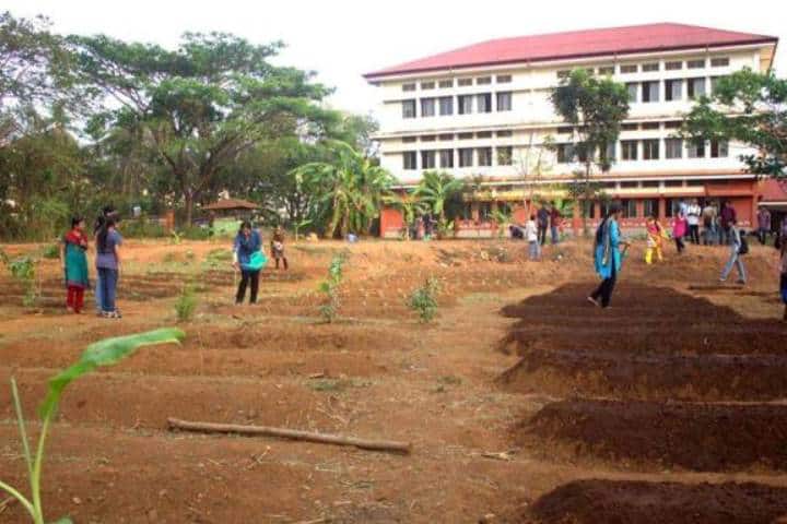 NIT Calicut: Admission, Fees, Courses, Placements, Cutoff, Ranking