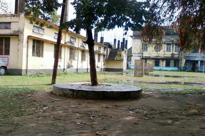 Cachar College, Silchar: Admission, Fees, Courses, Placements, Cutoff ...