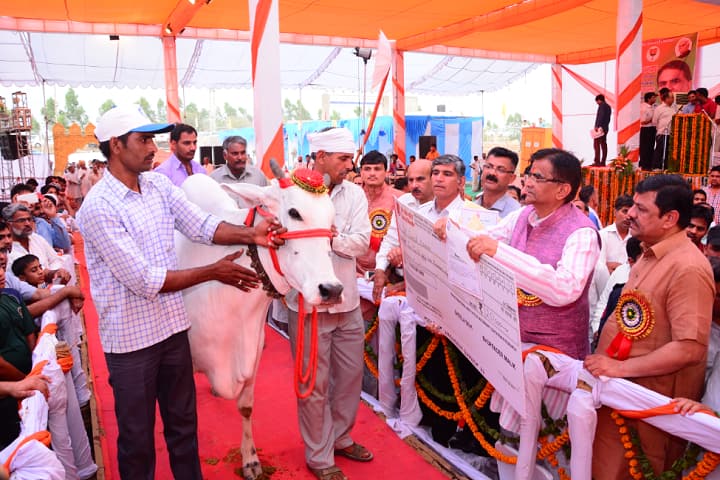 International Institute of Veterinary Education and Research (IIVER ...